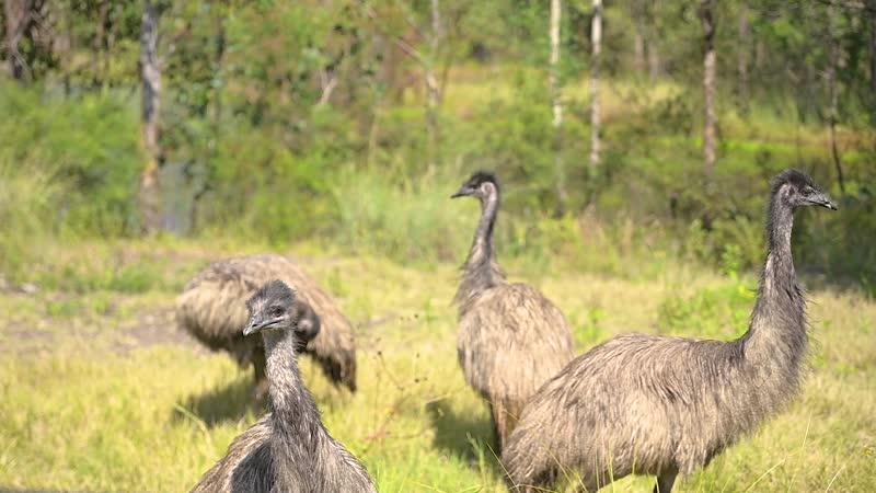 Kingfisher Grove Retirement Village - Jordan Springs NSW | Keyton